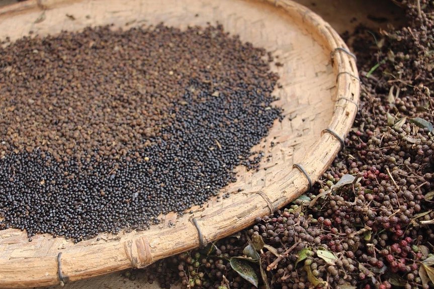 What is Timur Pepper? – Claman | Agents for Robertet SA | Fragrance is ...